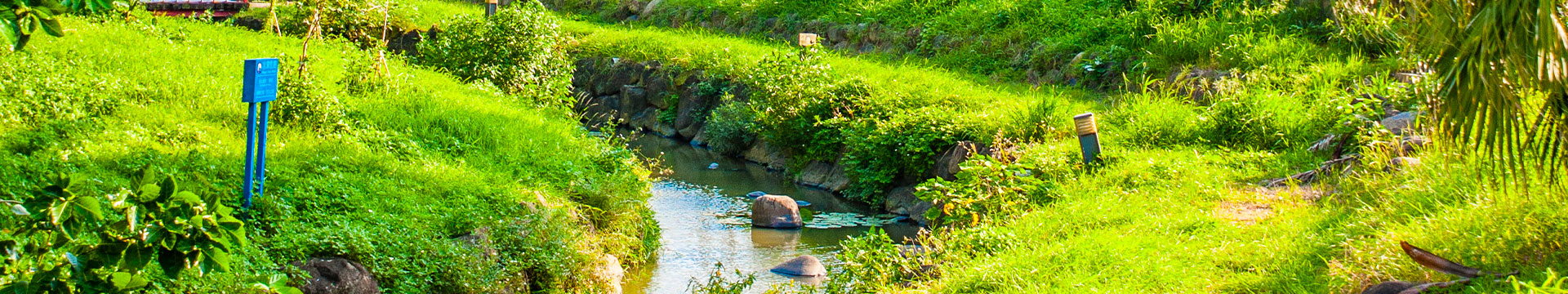 國立雲林科技大學-環境安全科技中心 - Home